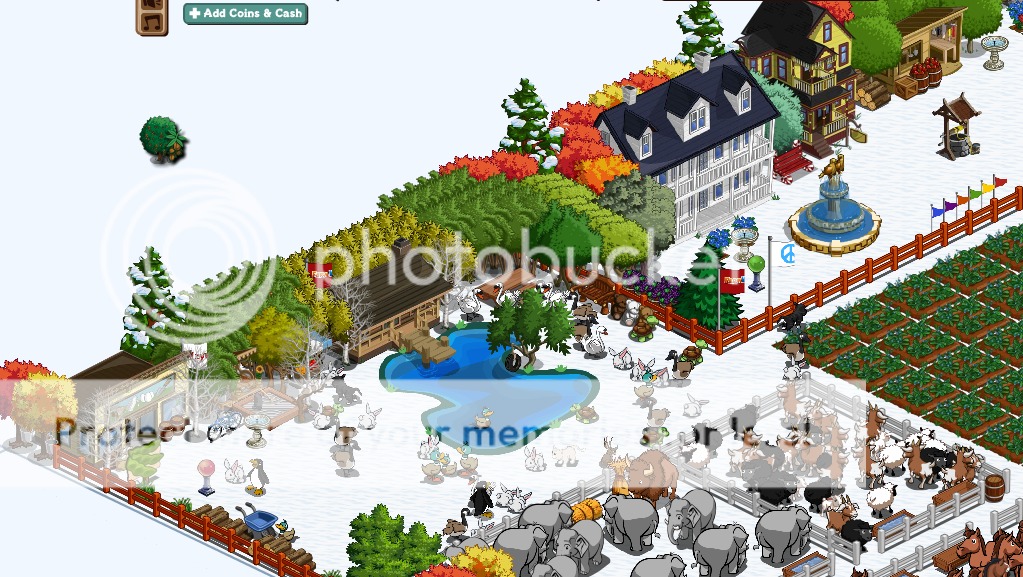 Blog Archives - netsoft-softget