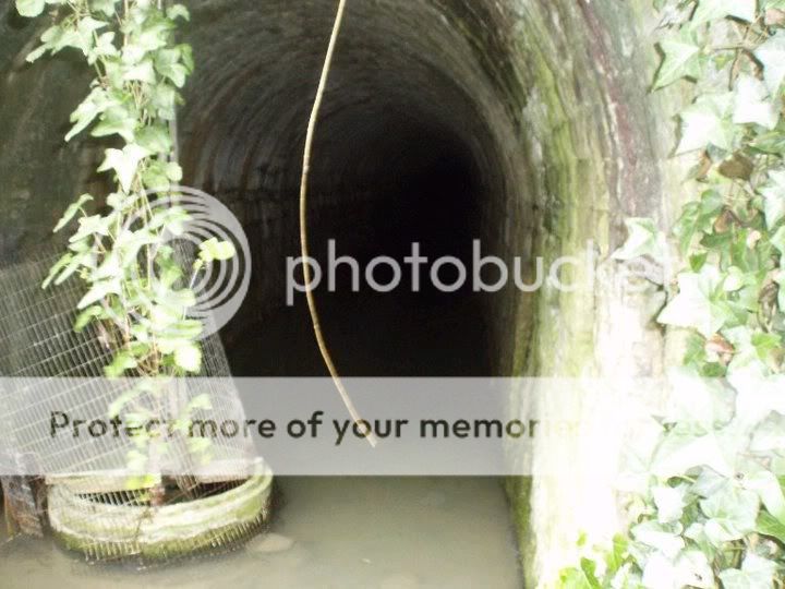 Chard Canal - Alchetron, The Free Social Encyclopedia