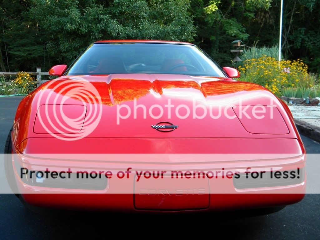 95 Pictures - Page 2 - CorvetteForum - Chevrolet Corvette Forum Discussion