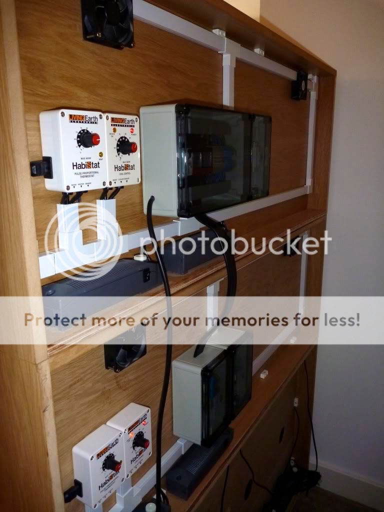 Pimped Viv Stack!!! | Reptile Forums