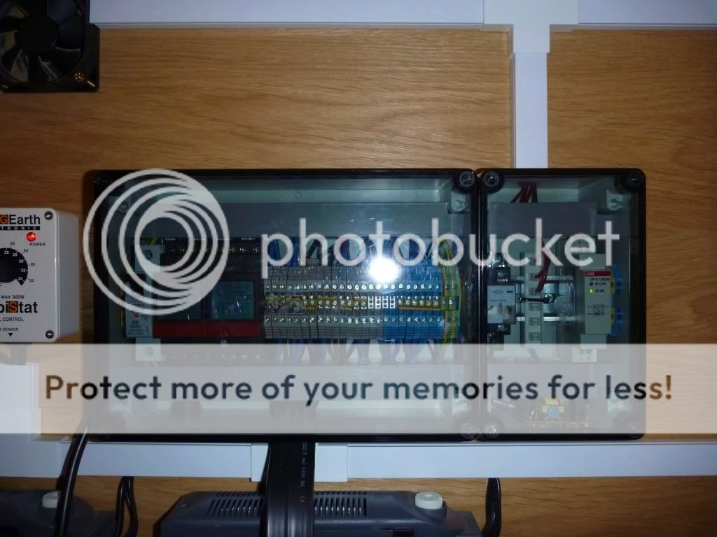 Pimped Viv Stack!!! | Reptile Forums